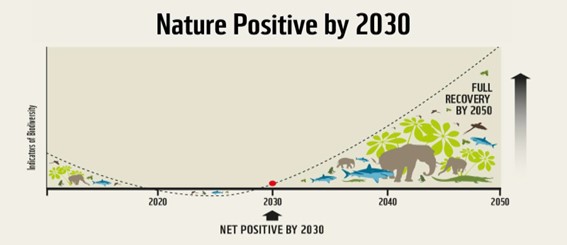 The ultimate factor in sustainability: Nature Positive